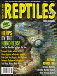 The Burmese Python: How to Make It At Home in Your Home