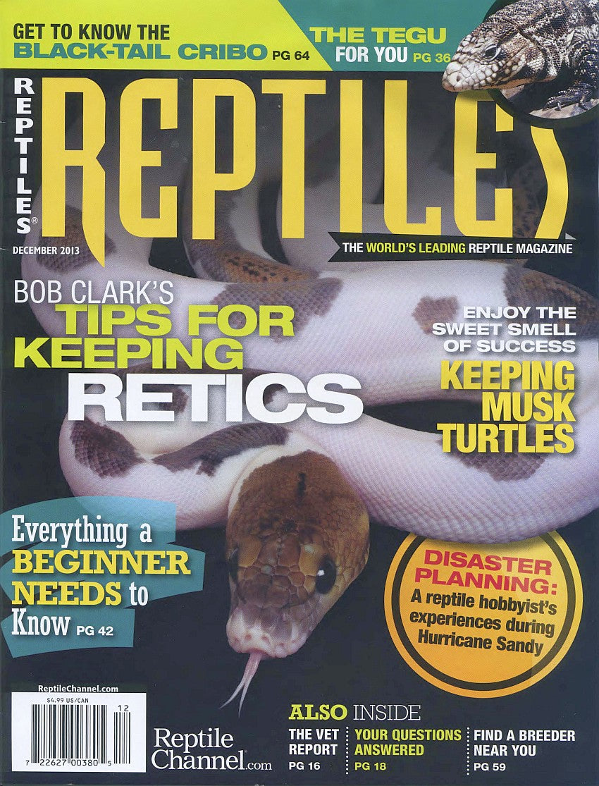 Not Your Father's Retic | Bob Clark Articles