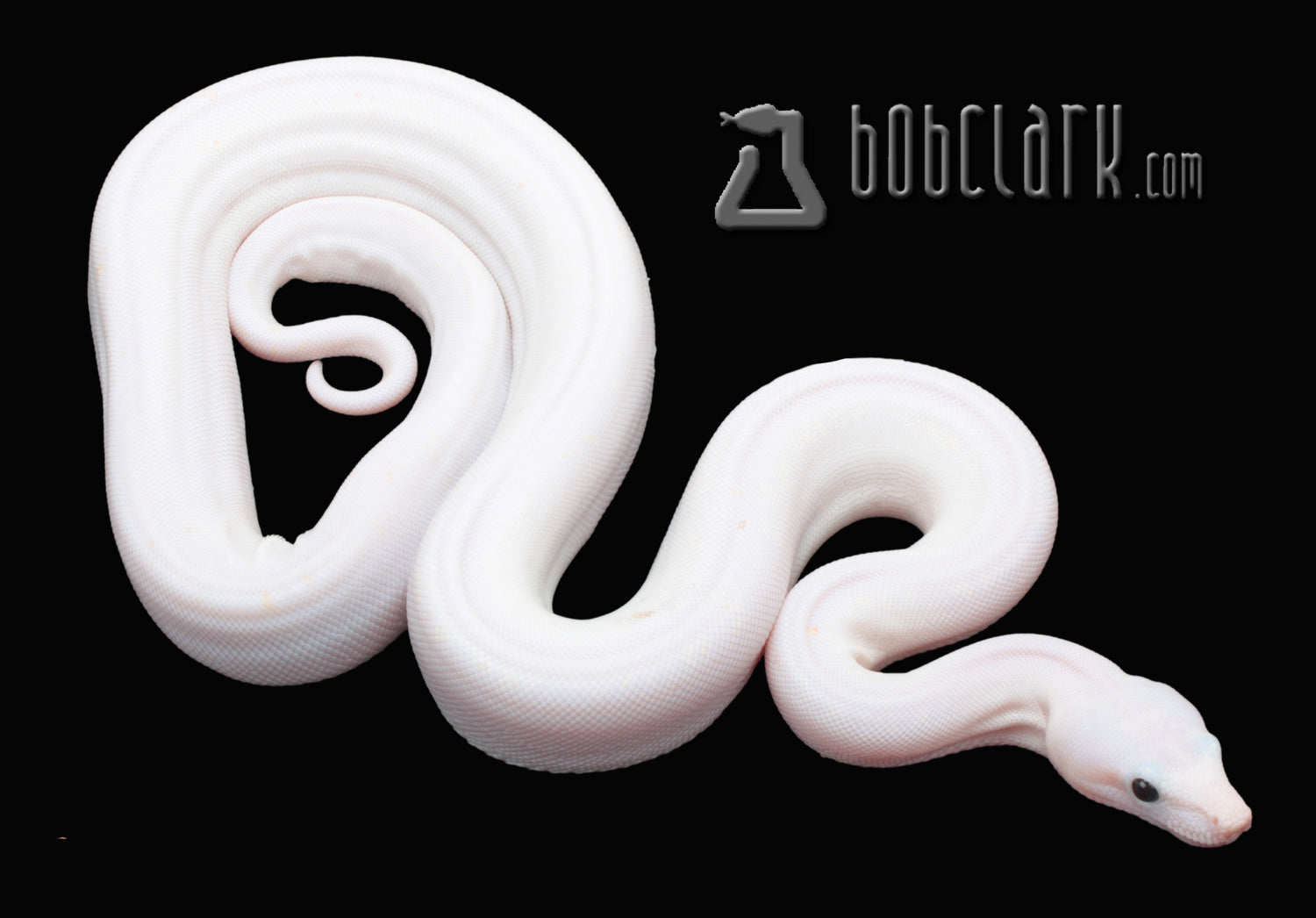 Super fire poss labyrinth poss IMG