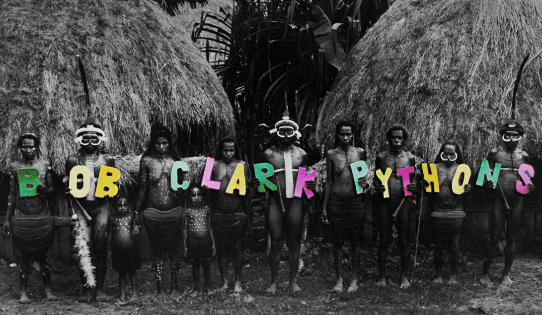 Motley tiger het albino